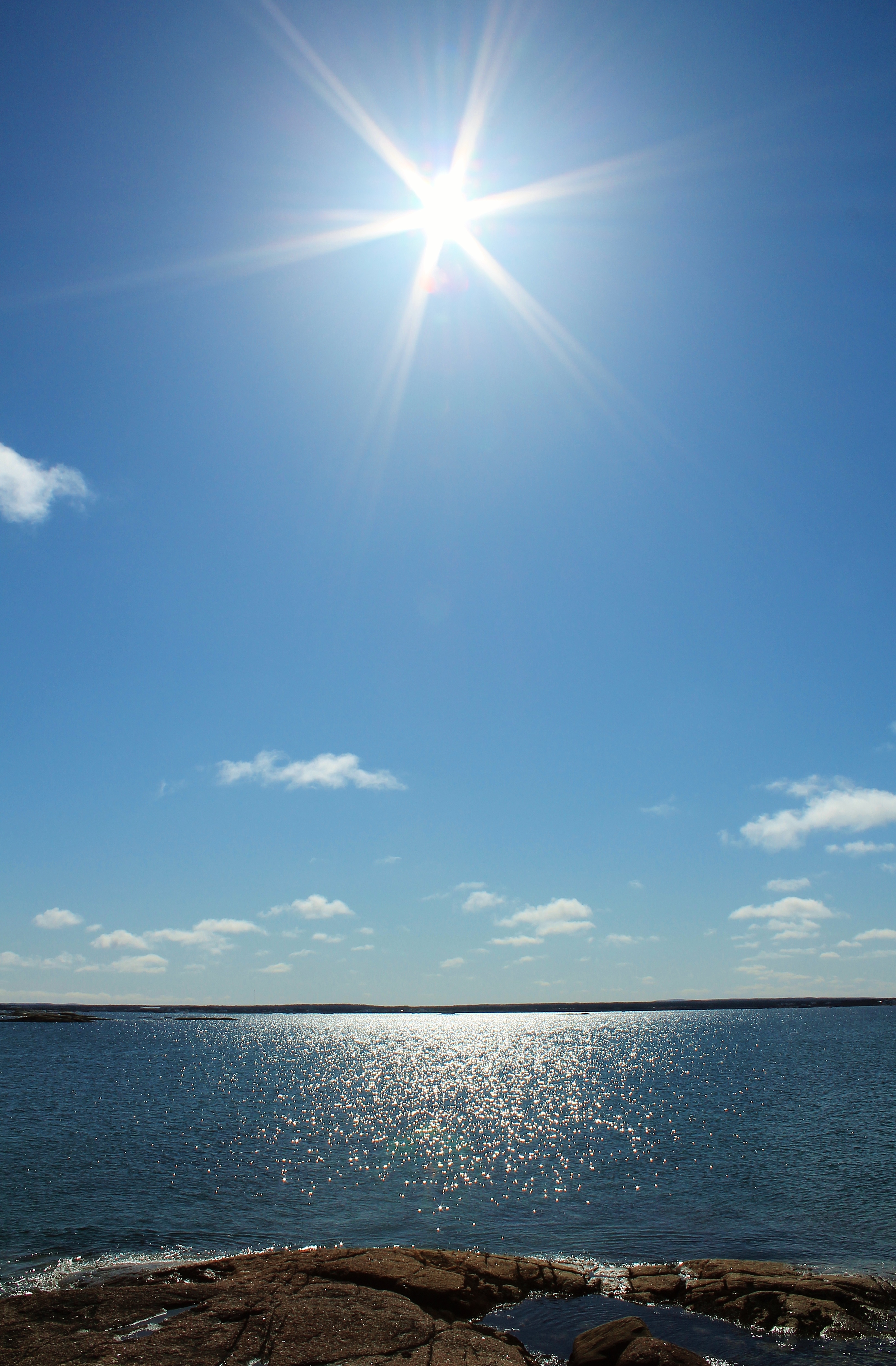 Evergreen Post: A Thankful Heart – Jennifer's Journal