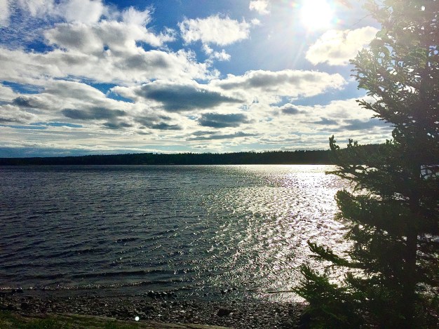 Exploring My Island: The Mighty Gander River – Jennifer's Journal