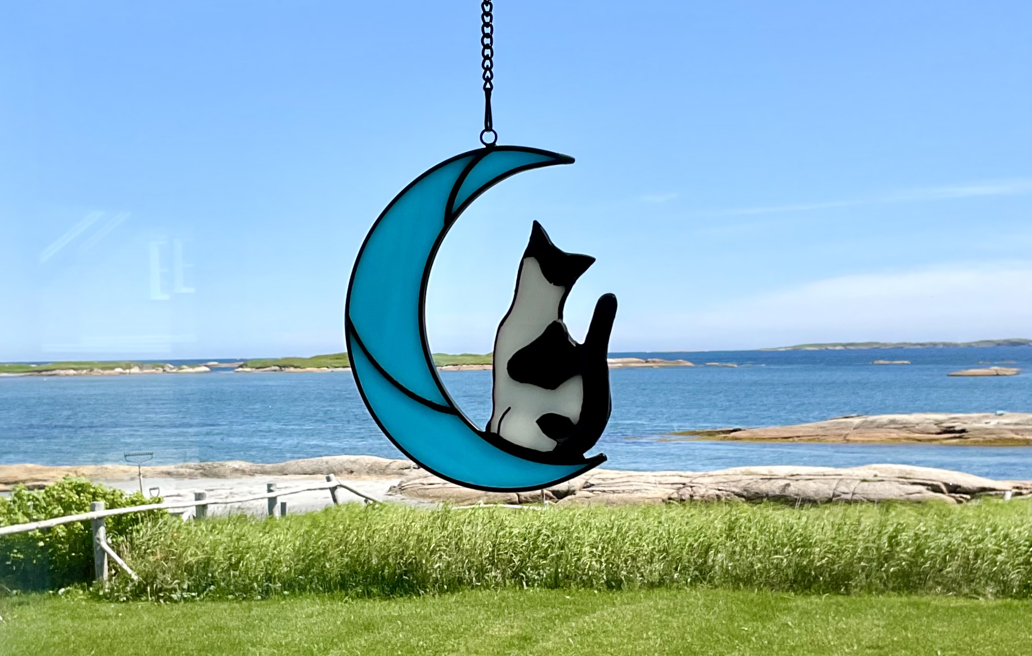 Sunday Snaps: And Then There Were Two – Jennifer's Journal